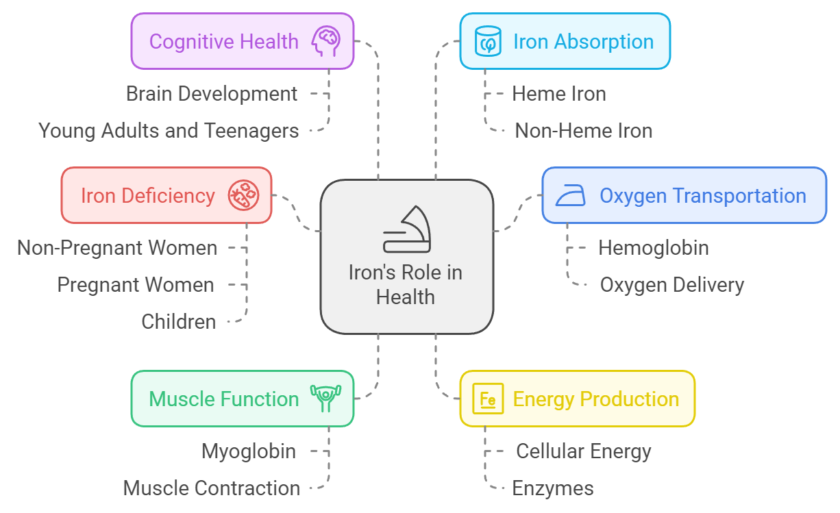 Iron: The Key to Sustained Energy and Vibrant Health - Food & Nutrition