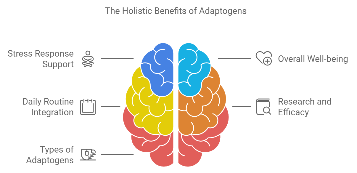 Ultimate Guide to Adaptogens: Benefits, Uses, and How to Incorporate ...