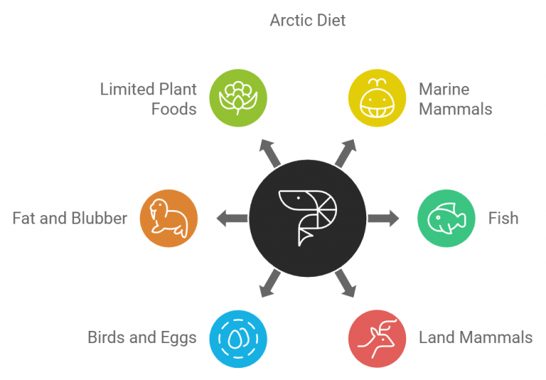 Unveil the Strength of the Traditional Inuit (Eskimo) Diet: A Path to ...